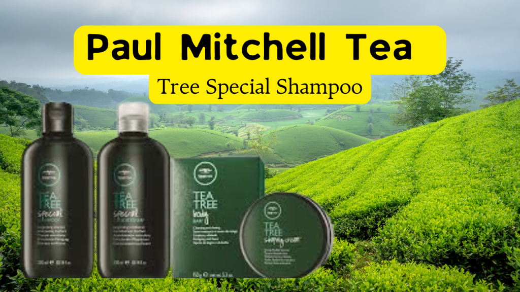 Paul Mitchell Tea Tree Special Shampoo Review & Benefits